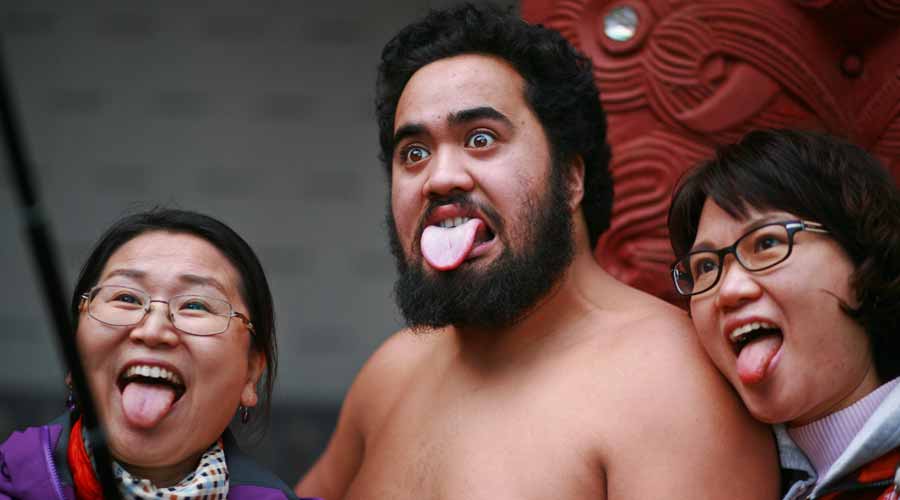 New Zealand Meditation Tour